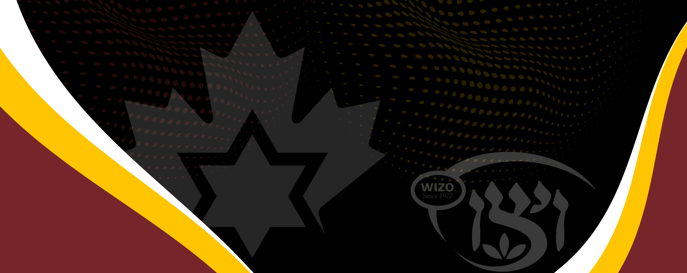 Complimentary Webinar With Anat Vidor - CHW